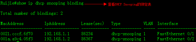 锐捷交换机dhcp snooping - CNESA